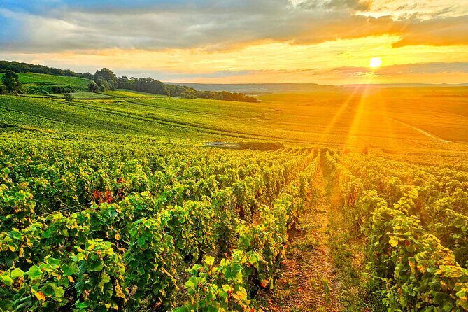 Veuve Clicquot Tasting and Fun Private Tour in Champagne - Frequently Asked Questions