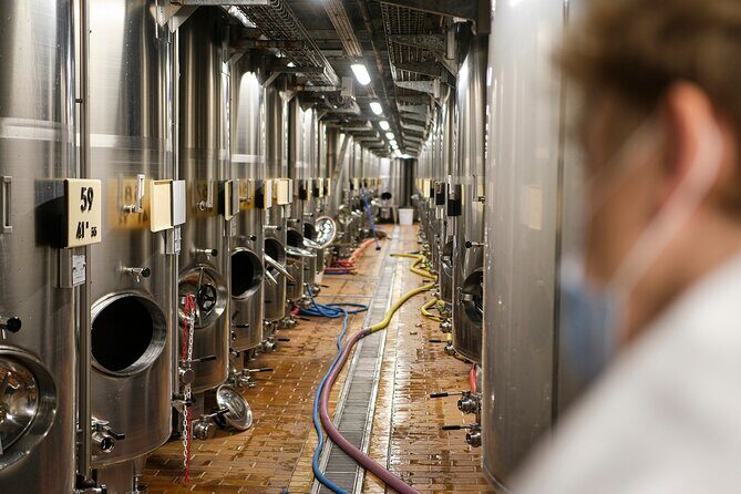 Veuve Clicquot Tasting and Fun Private Tour in Champagne - Final Thoughts