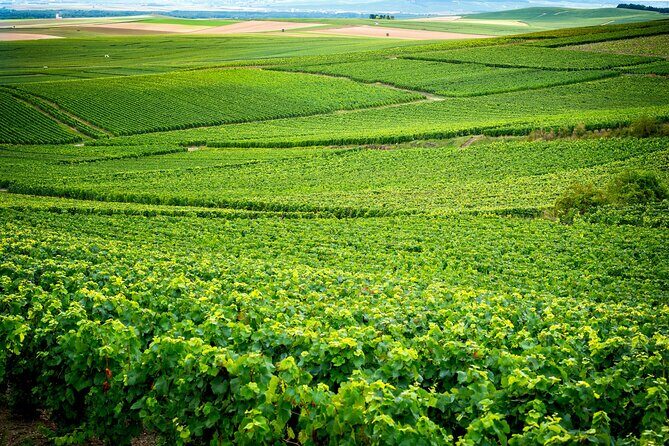 Veuve Clicquot Tour From Paris - The Itinerary: What to Expect on Your Sparkling Day Out