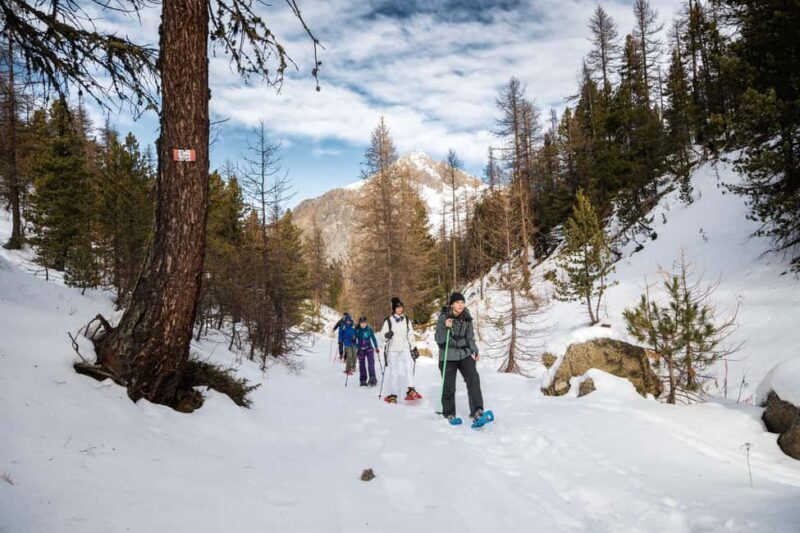 Vialattea: Snowshoeing in the Snowy Forest - Key Points