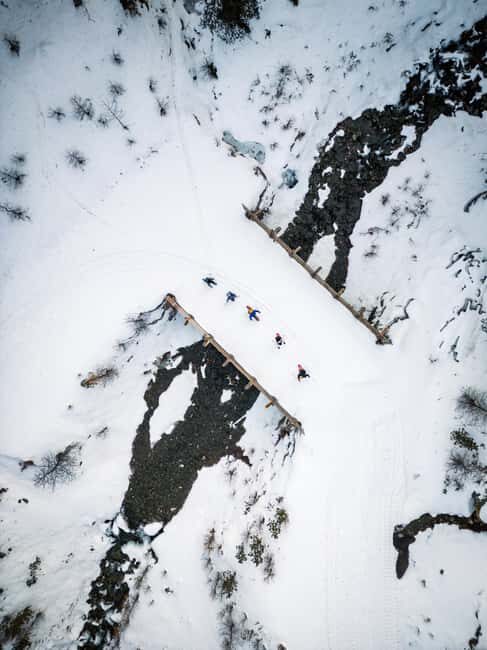 Vialattea: Snowshoeing in the Snowy Forest - Practical Tips for Participants