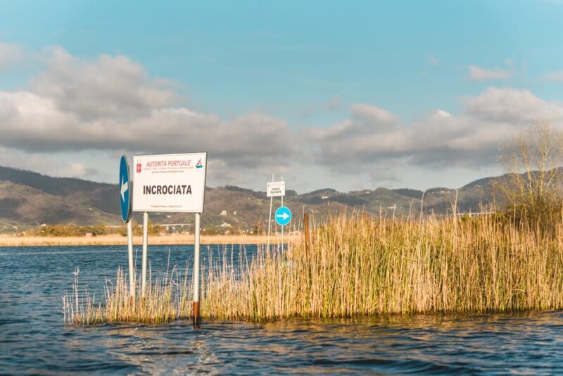 Viareggio: Marshes Electric Boat Tour with Wine Tasting - Tasting Time: Wine and Local Biscuits