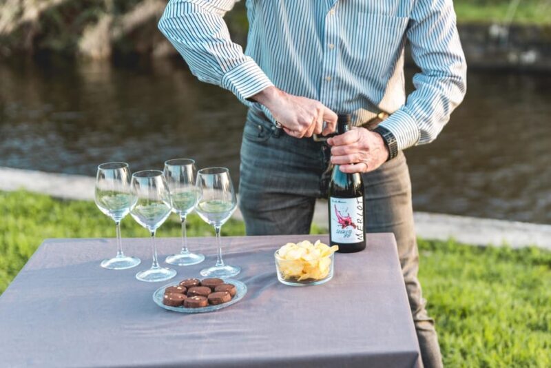 Viareggio: Marshes Electric Boat Tour with Wine Tasting - Why Youll Love It