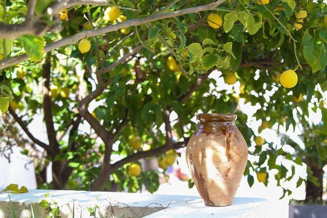 Viator Exclusive: Local Cooking Class & Dinner with View of Nice - What Reviewers Love Most