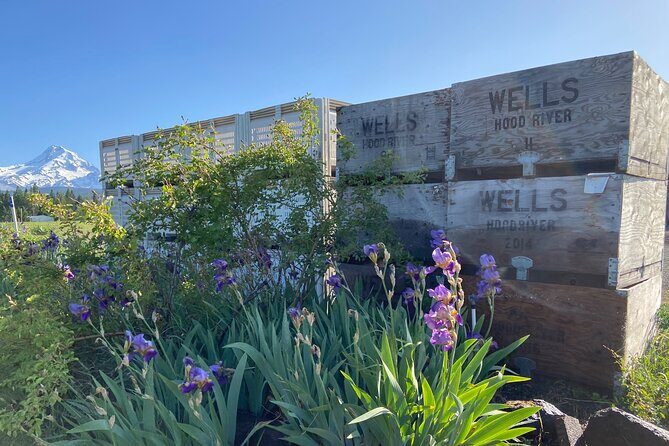 Viator Exclusive: Wyeast Adventure Cycling in Portland - What to Expect During the Ride