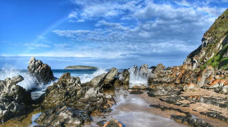 Victor Harbor and Fleurieu Peninsula Tour - What Travelers Say: Authentic Insights from Reviews