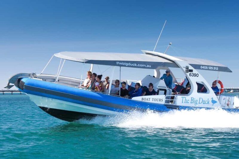 Victor Harbor: Seal Island Cruise - Why This Tour Offers Great Value
