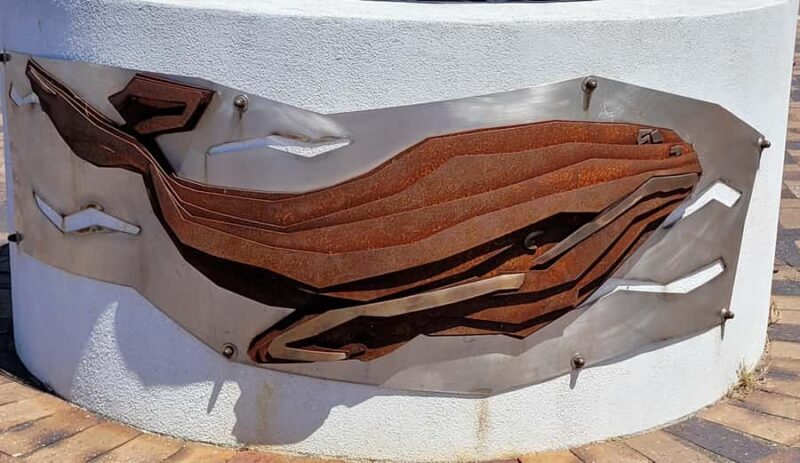 Victor Harbor: Shipwrecks & Settlers Walking Tour - Why You’ll Enjoy This Tour