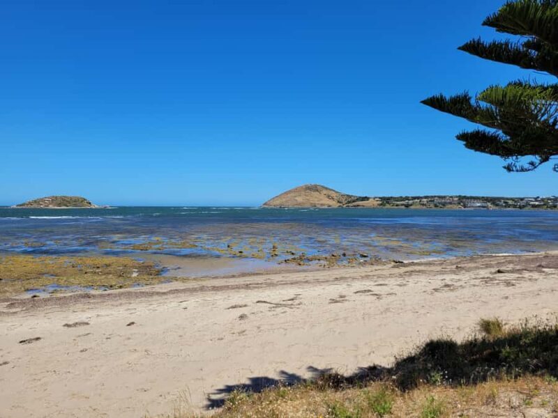 Victor Harbor: Shipwrecks & Settlers Walking Tour - Practical Considerations and Tips