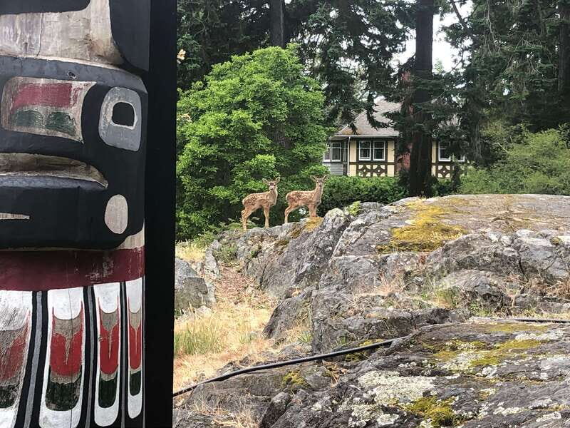 Victoria: 3-hour City Highlights Tour & Coastal Bike Ride - Considerations