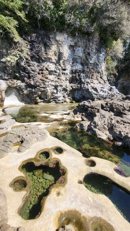 Victoria: 4-Day Tofino and Port Renfrew Tour with Flights - FAQ