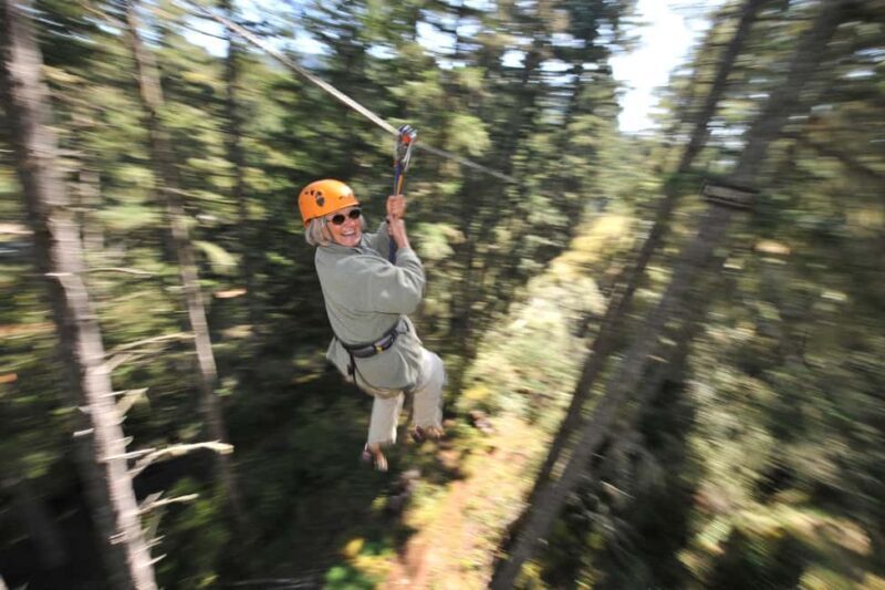 Victoria: 8 Zipline Guided Tour + Suspension Bridge - The Guides and Learning Experience