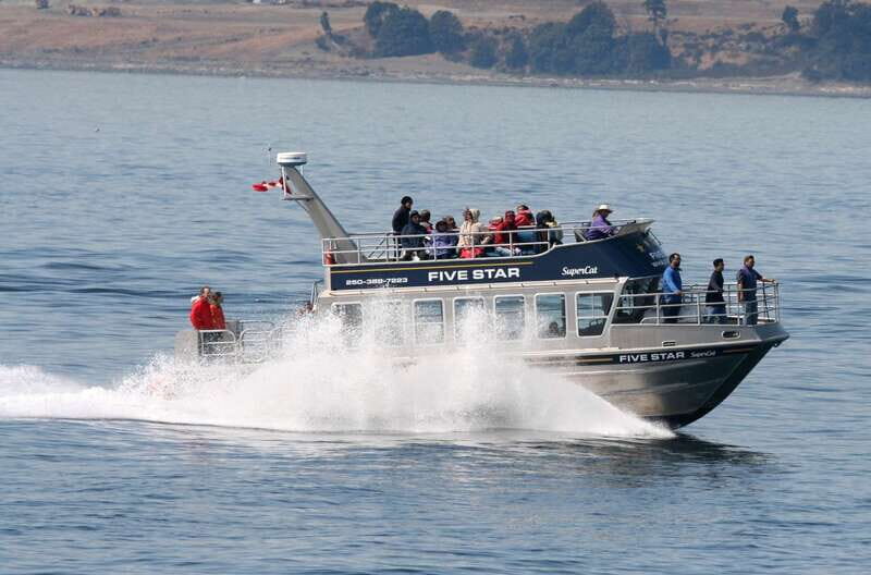 Victoria BC: 3 Hour Expedition Catamaran Whale Watching Tour - Who Would This Tour Suit Best?