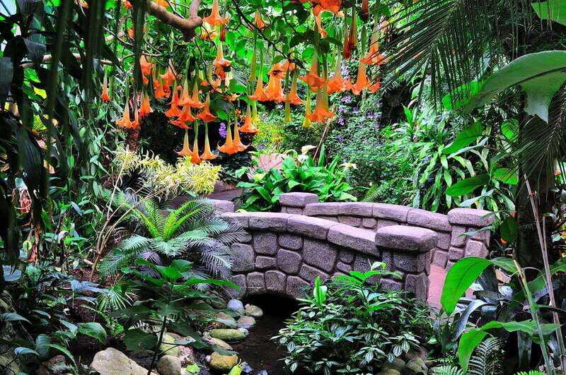Victoria: Butterfly Gardens Admission Ticket - A Visual Journey into the Tropical World