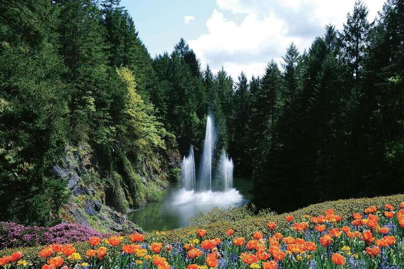 Victoria: City Highlights and Butchart Gardens Tour - Who Will Love This Tour?