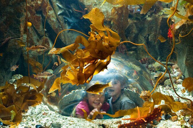 Victoria Ferry connector Waterfall Vista, Rainforest and Aquarium - Key Points