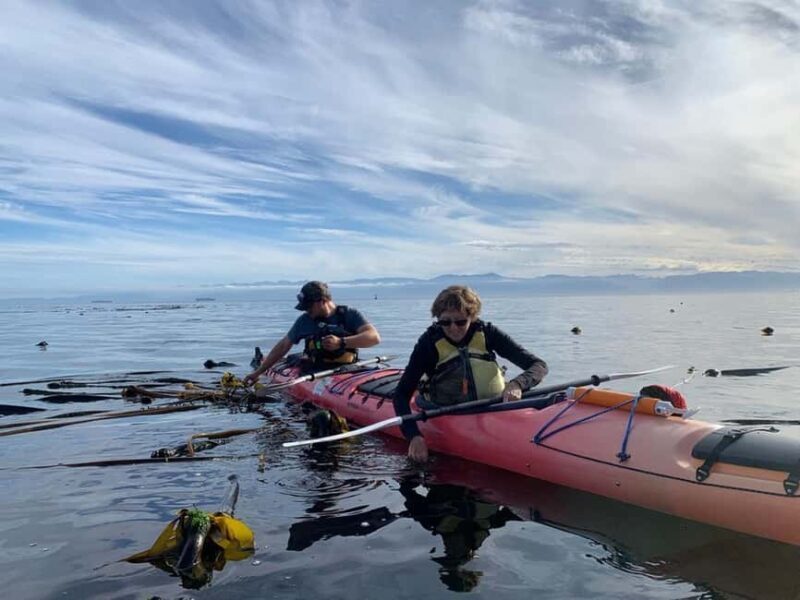 Victoria: Guided Kayak Tour Adventure - What You Can Expect from the Victoria Kayak Tour