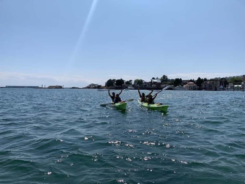 Victoria: Guided Kayak Tour Adventure - The Experience in Detail: A Balance of Fun and Learning