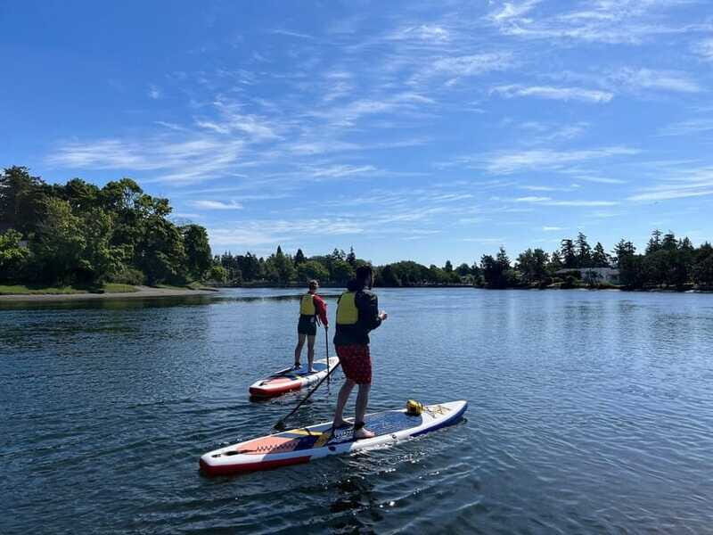 Victoria: Intro to Stand Up Paddle Boarding at Thetis Lake - The Sum Up