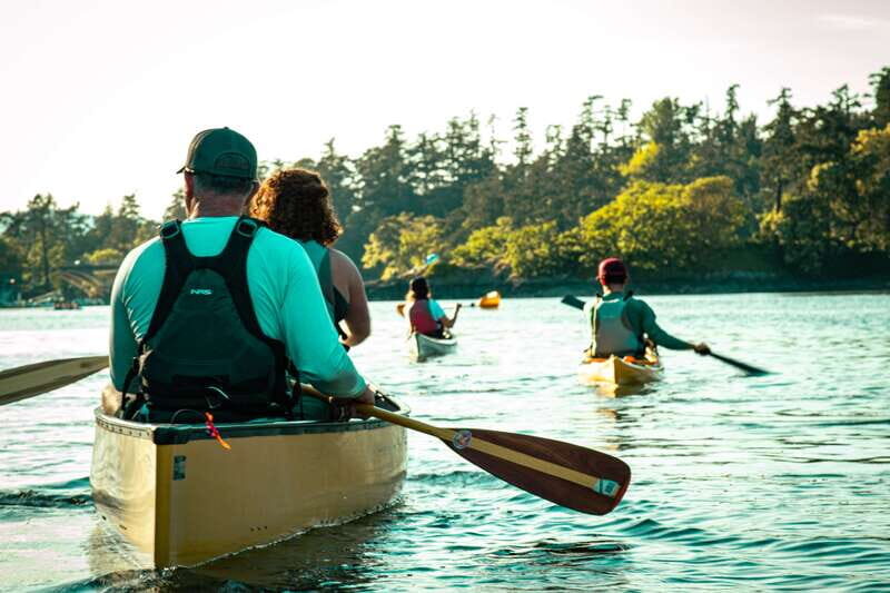 Victoria: Kayak Harbour Tour - Introduction: A Unique Way to Experience Victoria
