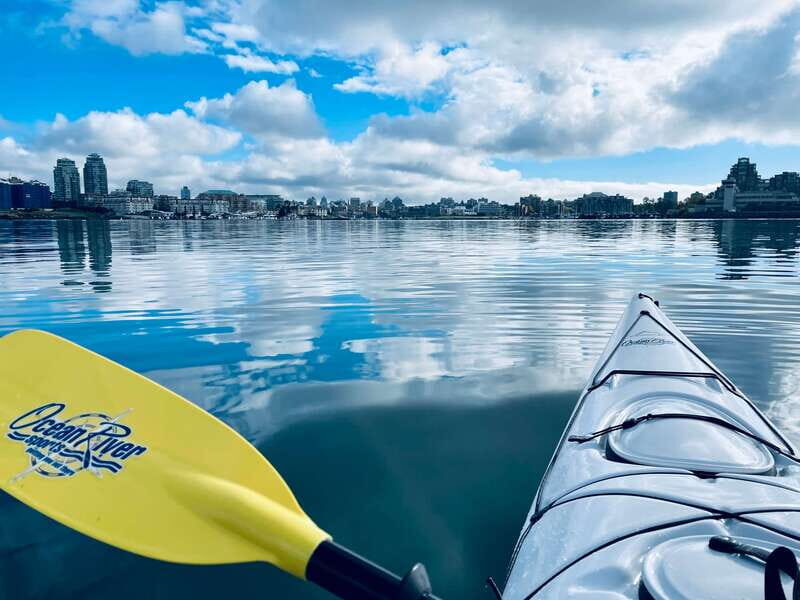 Victoria: Kayak Harbour Tour - The Practical Side: What to Expect and What Not