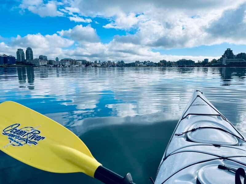 Victoria: Kayak Harbour Tour - Pricing and Value