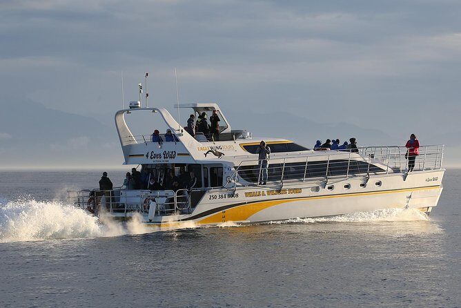 Victoria Marine Wildlife Tour - An In-Depth Look at the Victoria Marine Wildlife Tour