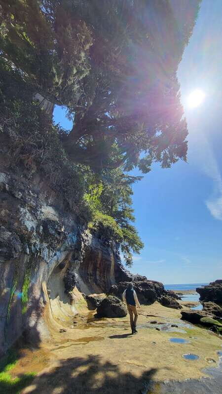 Victoria: Old Growth Rainforest Canyon Waterfall and Beaches