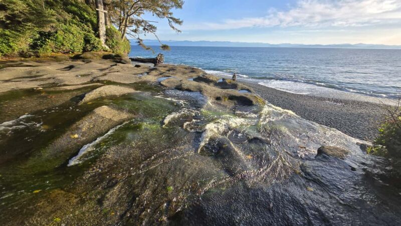 Victoria: Old Growth Rainforest Canyon Waterfall and Beaches - FAQ