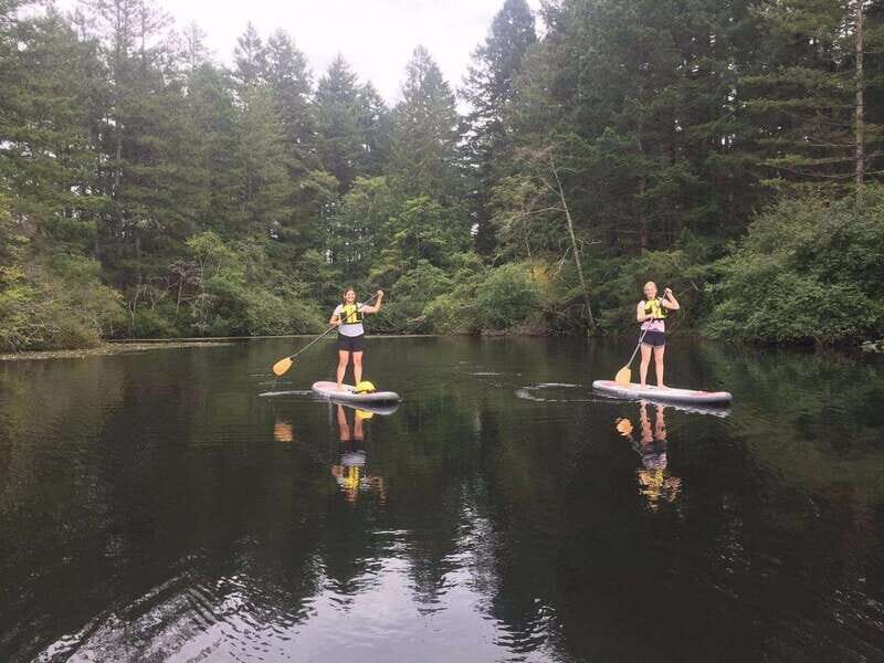 Victoria: Paddle Board Rental with Full Equipment - Key Points