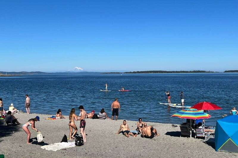 Victoria: Paddle Board Tour at Willows Beach - Authentic Experiences from Reviews