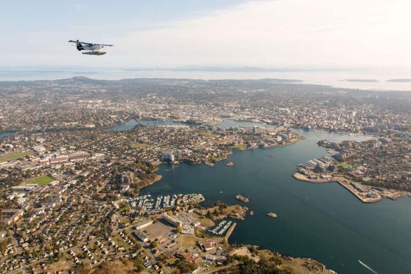 Victoria: Panorama Scenic Seaplane Tour - Price & Value