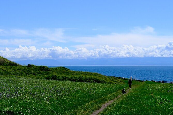 Victoria Seaside Splendors Trail Walking Tour - Introduction