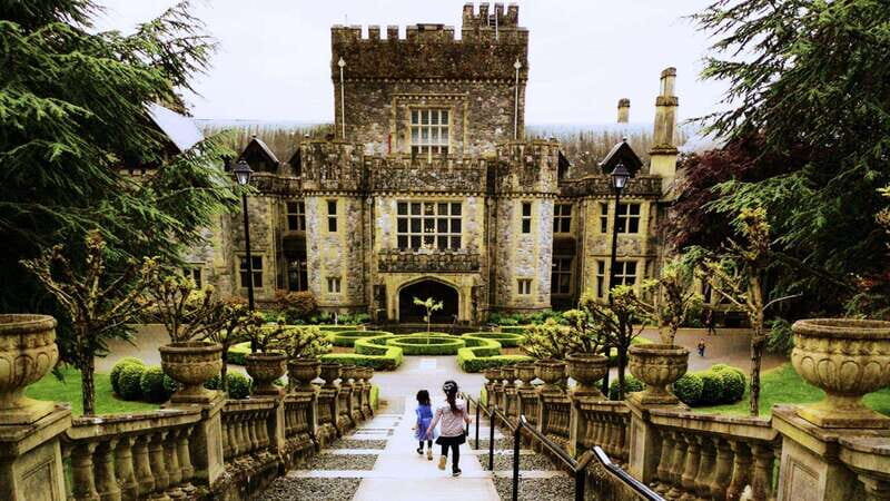 Victoria: Skywalk & Hatley Castle Private Tour - Authentic Insights from Past Travelers