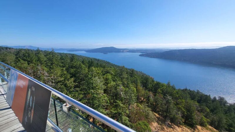 Victoria Waterfall, Skywalk, Beach Picnic, Castle and Whales - Price and Value  
