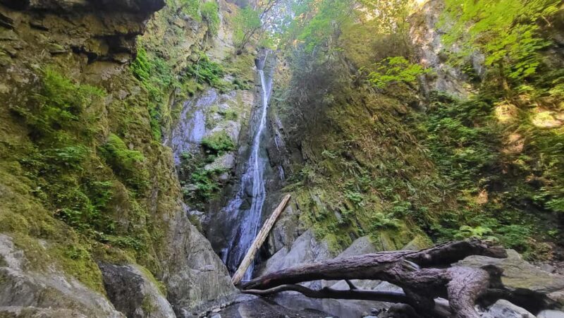 Victoria Waterfall, Skywalk, Beach Picnic, Castle and Whales - The Sum Up: Who Is This Tour Best For?  