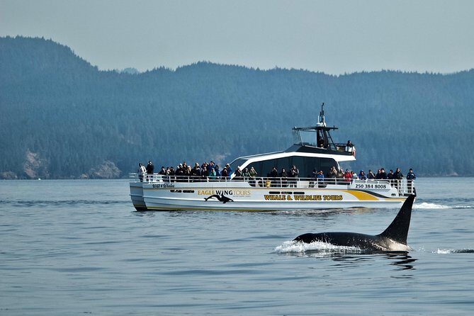Victoria Whale and Wildlife Cruise - The Guarantee and Its Significance