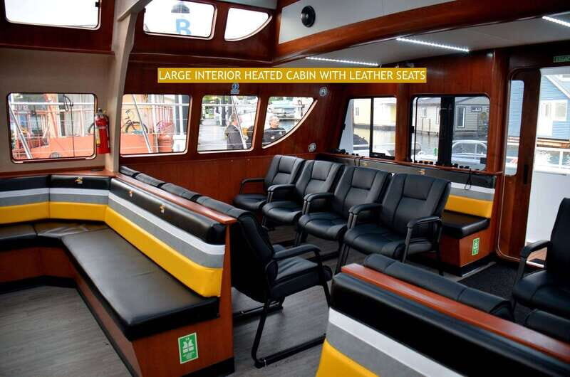 Victoria: Whale and Wildlife Semi-Covered Boating Tour - Practical Tips for Your Trip