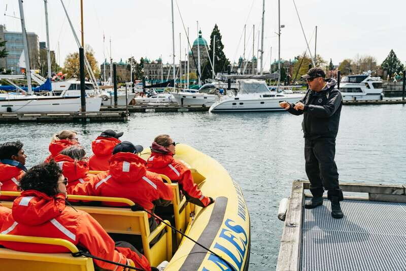 Victoria: Whale Watching Adventure in a Zodiac Boat - What to Expect from the Victoria Zodiac Whale Watching Tour