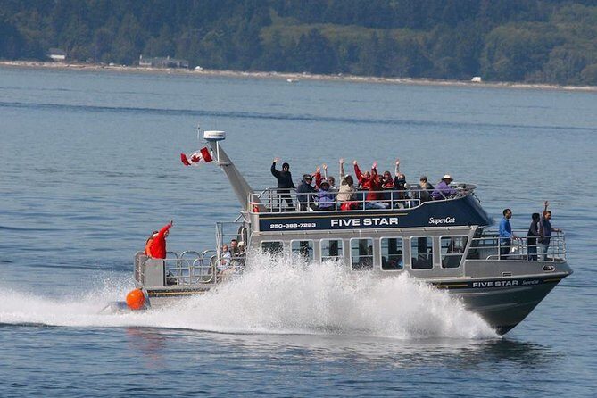 Victoria Whale Watching Cruise with Expert Naturalists - The Itinerary: What to Expect on Your Whale-Watching Day