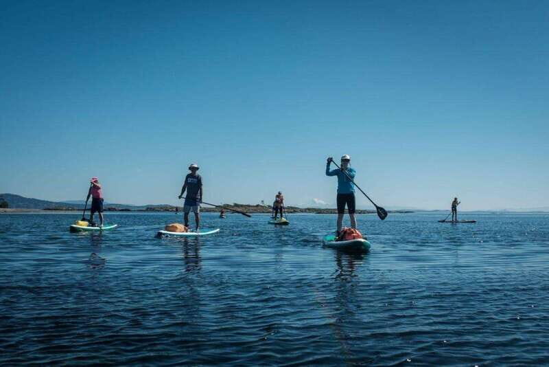 Victoria,BC: Learn to SUP and Tour - Experience Victoria with a Learn-to-SUP and Tour