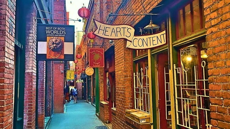 Victoria's City Highlights - Half Day Private Tour Excursion - Authentic Insights from Review Feedback