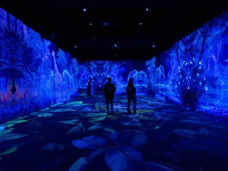 VIDENIE Immersive Art Space Entry Ticket - Key Points