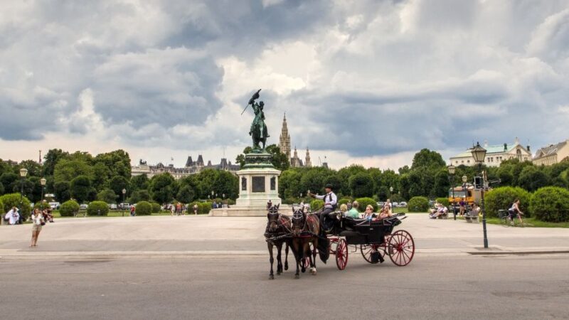 Vienna: 30-Minute Fiaker Ride in the Old Town - The Guides and Horses