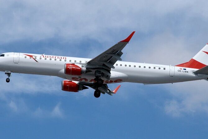 Vienna Airport Transfer from Vienna City with Private Driver - What to Expect from the Vienna Airport Transfer Service