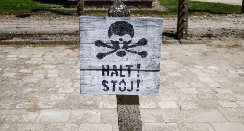 Vienna: Auschwitz Birkenau Full-Day Tour w/ Hotel Transfers - Key Points