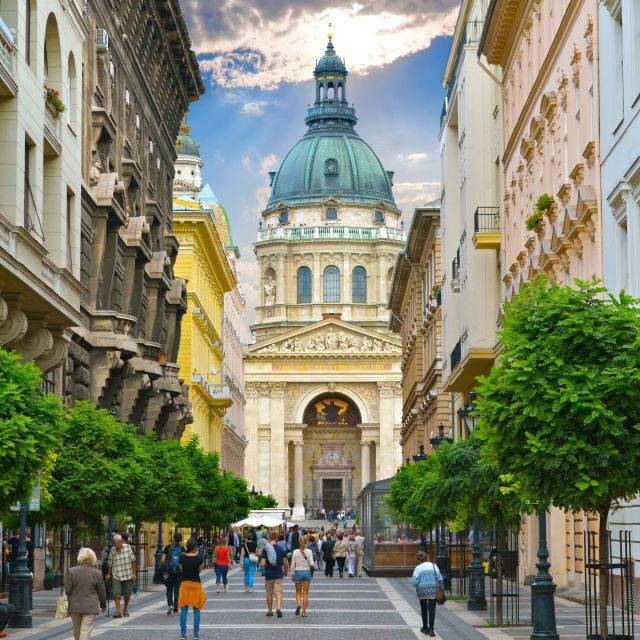 Vienna: Budapest Day Trip - Transportation & Guides