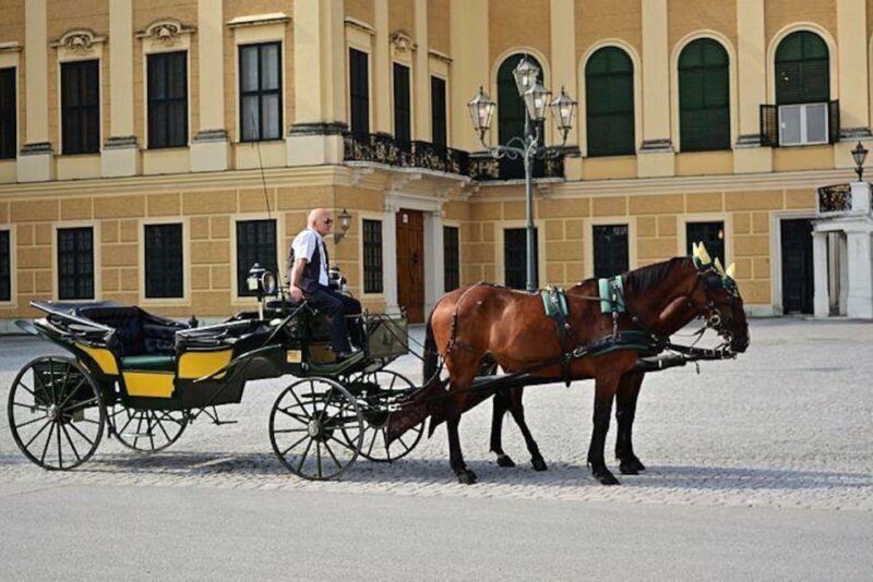 Vienna: Carriage Ride Through Schönbrunn Palace Gardens - An In-Depth Look at the Schönbrunn Carriage Ride