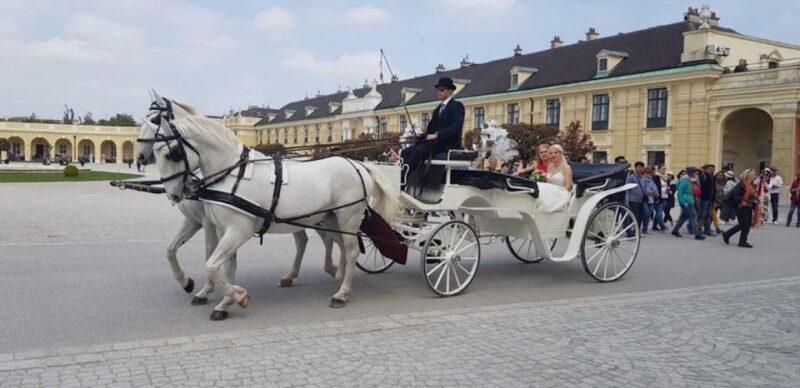 Vienna: Carriage Ride Through Schönbrunn Palace Gardens - The Sum Up