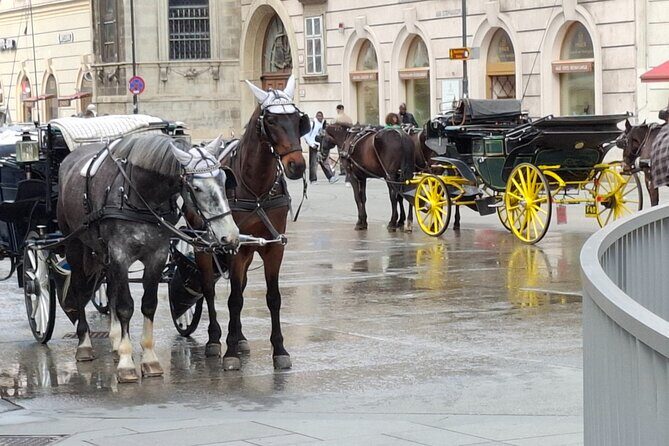 Vienna City Walk 3h - Unpacked & Hidden Places (DE/EN) - Unique Vienna Experiences & Cultural Highlights